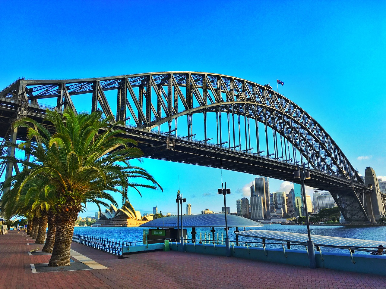 Proč studovat v kosmopolitním Sydney | Tutuki – Austrálie
